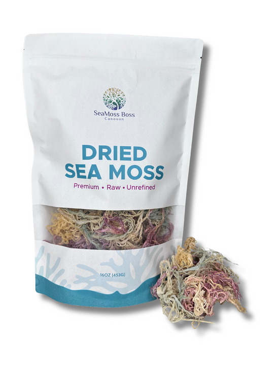 Full Spectrum Sea Moss – SeaMoss Boss Canouan